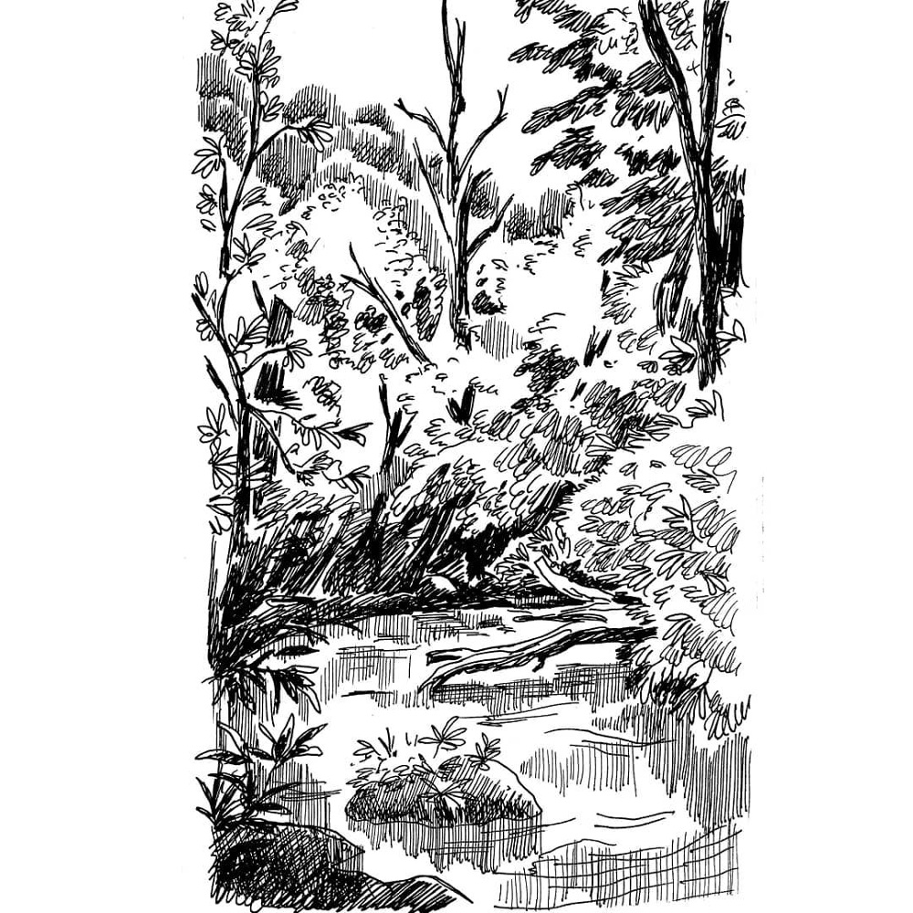 Carnets - Thibaut Rassat Portfolio