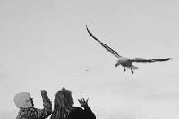 Sabrina - Dion Agius