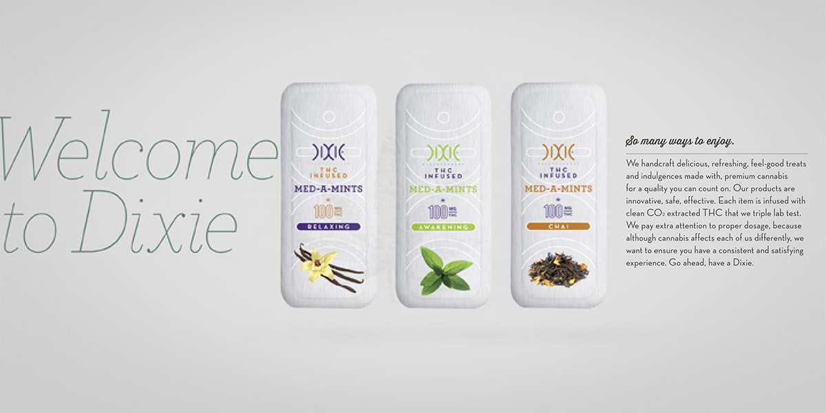 Dixie Elixirs brochure - Holly Kurtz, Freelance Advertising Copywriter ...