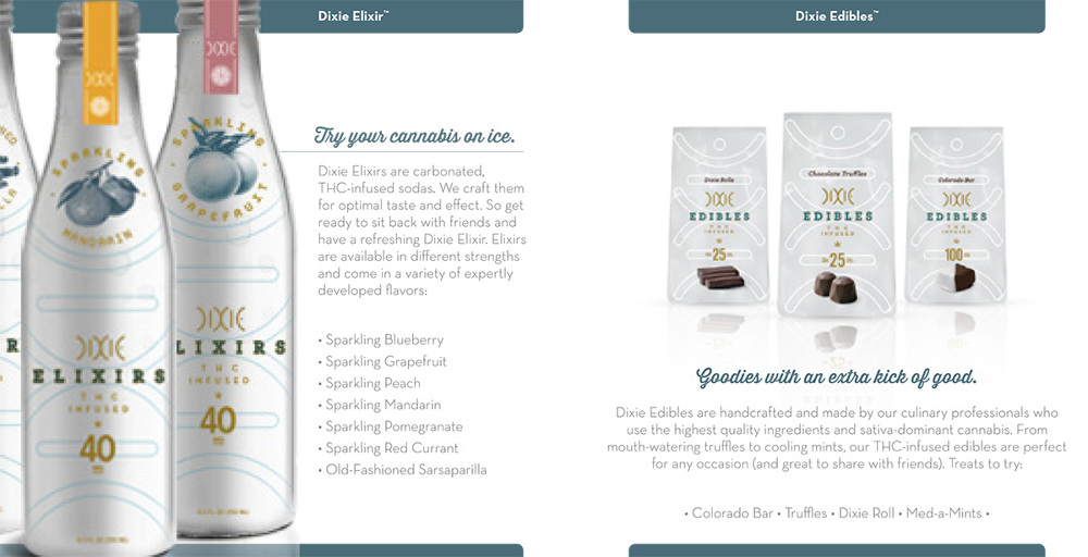 Dixie Elixirs brochure - Holly Kurtz, Freelance Advertising Copywriter ...