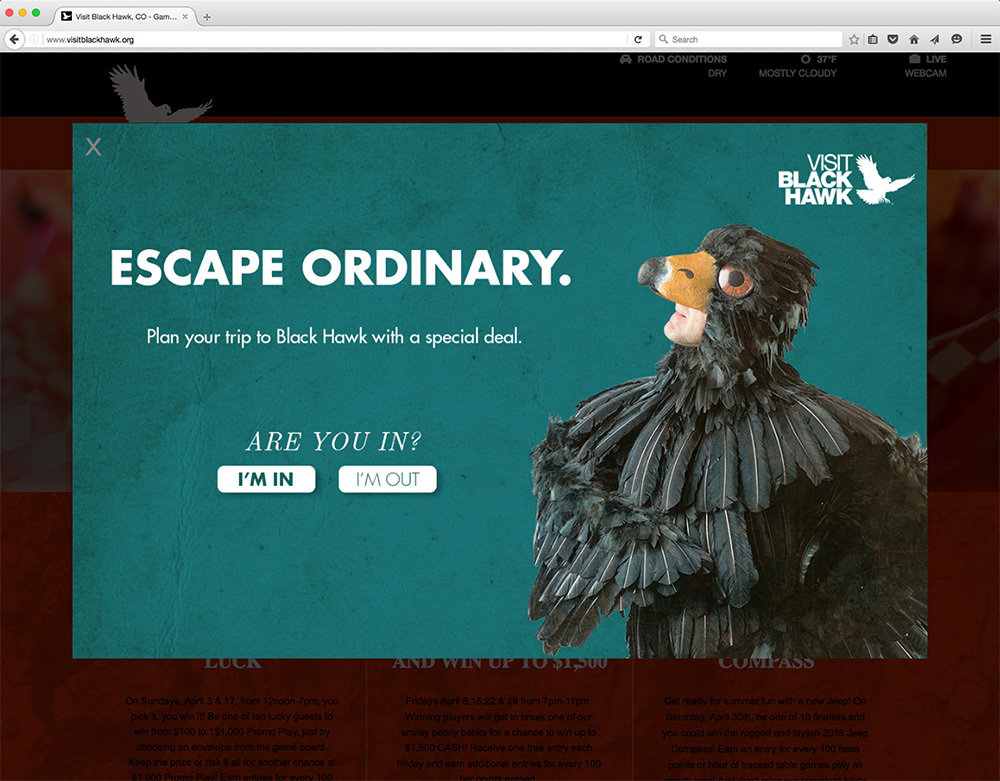 Black Hawk - Holly Kurtz, Freelance Advertising Copywriter ...