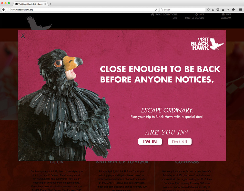 Black Hawk - Holly Kurtz, Freelance Advertising Copywriter ...