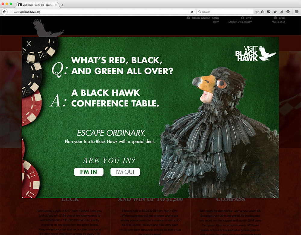 Black Hawk - Holly Kurtz, Freelance Advertising Copywriter ...