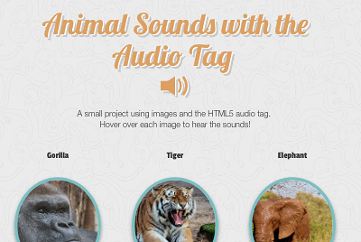 Code Experiments - Allison Walker Portfolio