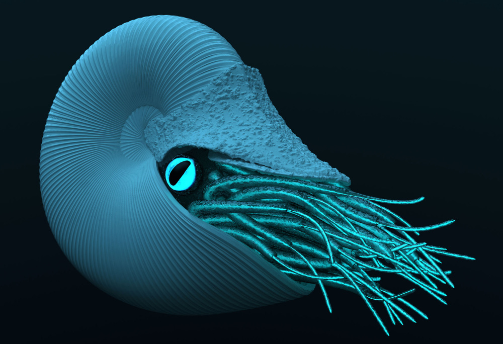 Tiefseetaucher - Sebastian Russ