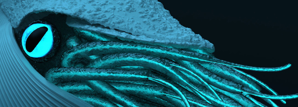 Tiefseetaucher - Sebastian Russ