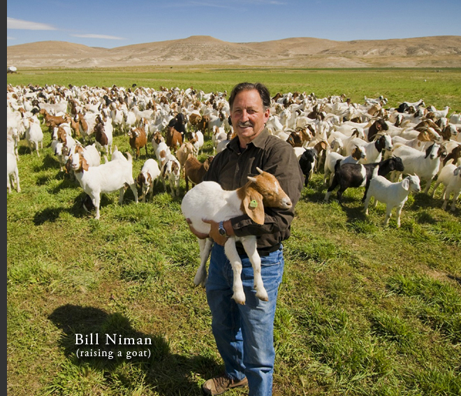 Niman Ranch - Ken Cook