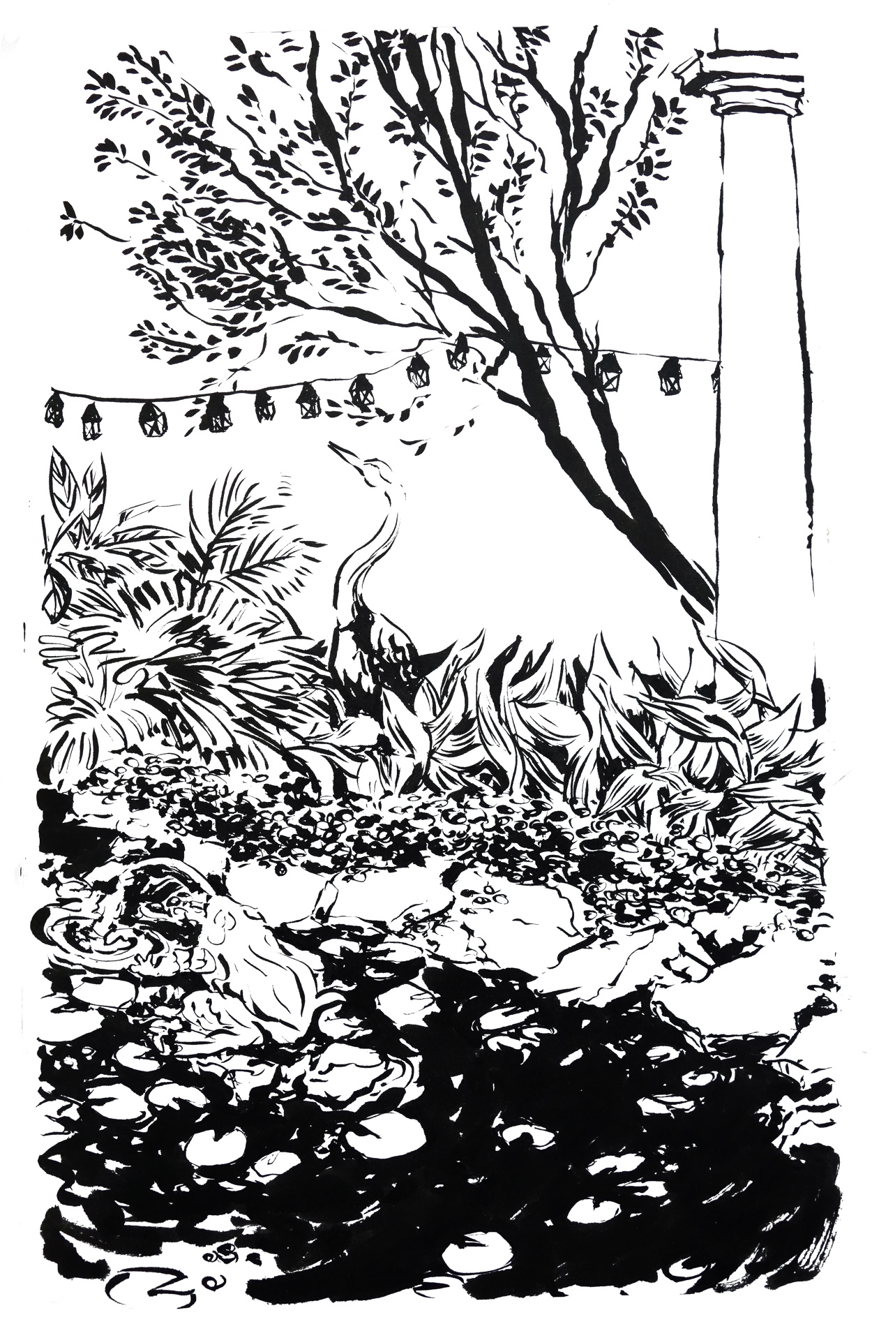 Drawings - The Art of Kacey Ziegler