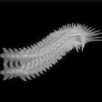 encoded matter tutorials - encodedmatter