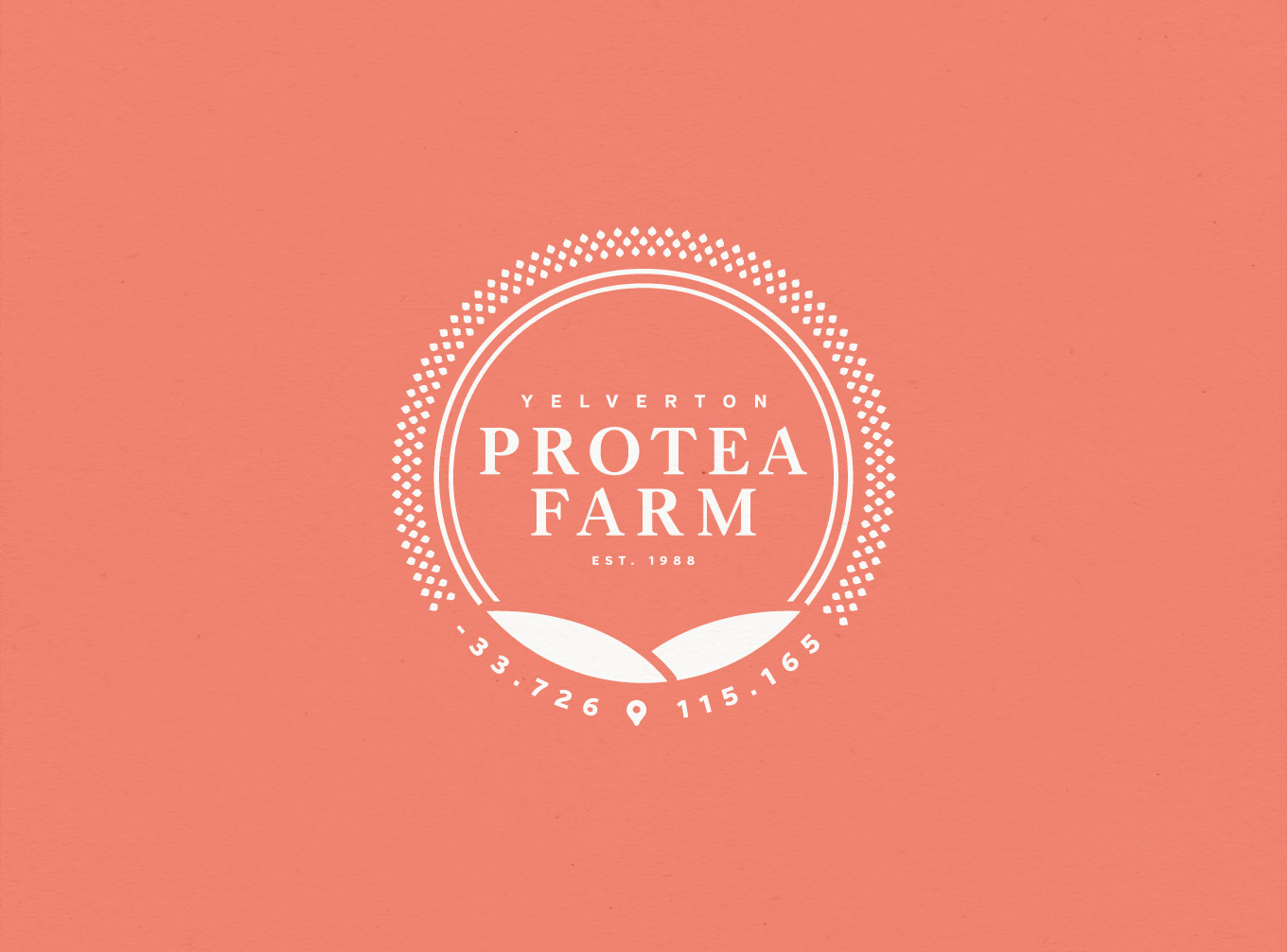 Yelverton Protea Farm - Studio Papa