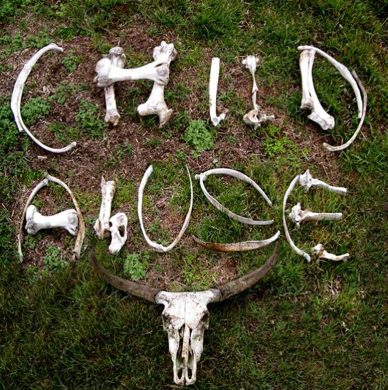 PROJECTS & BANDS - Tim Dahl