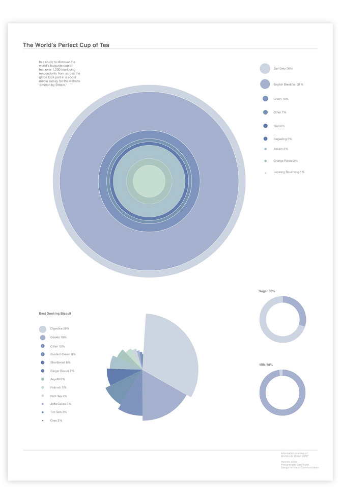 Infographic Poster - Hannah Jones