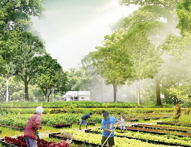 Productive Landscapes: Flint, MI - UCLA