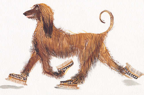 Sweeping dog - Julie Mackey Illustration
