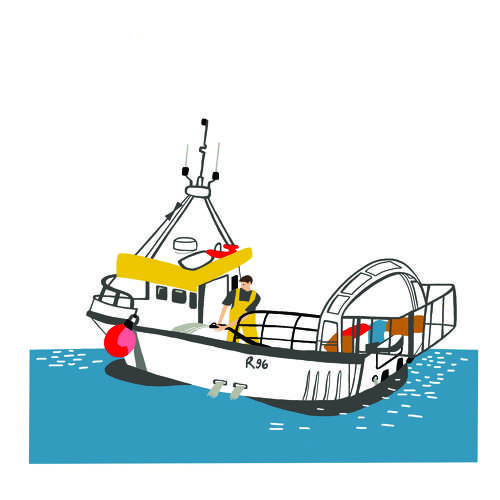 Digital work - Julie Mackey Illustration