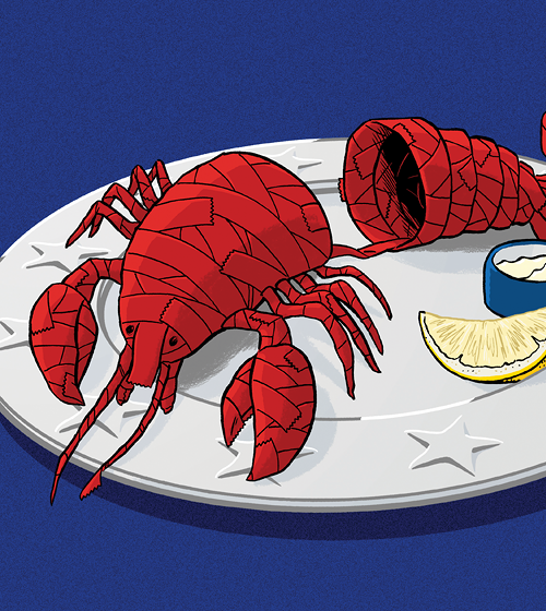 Alex Hahn Illustrator