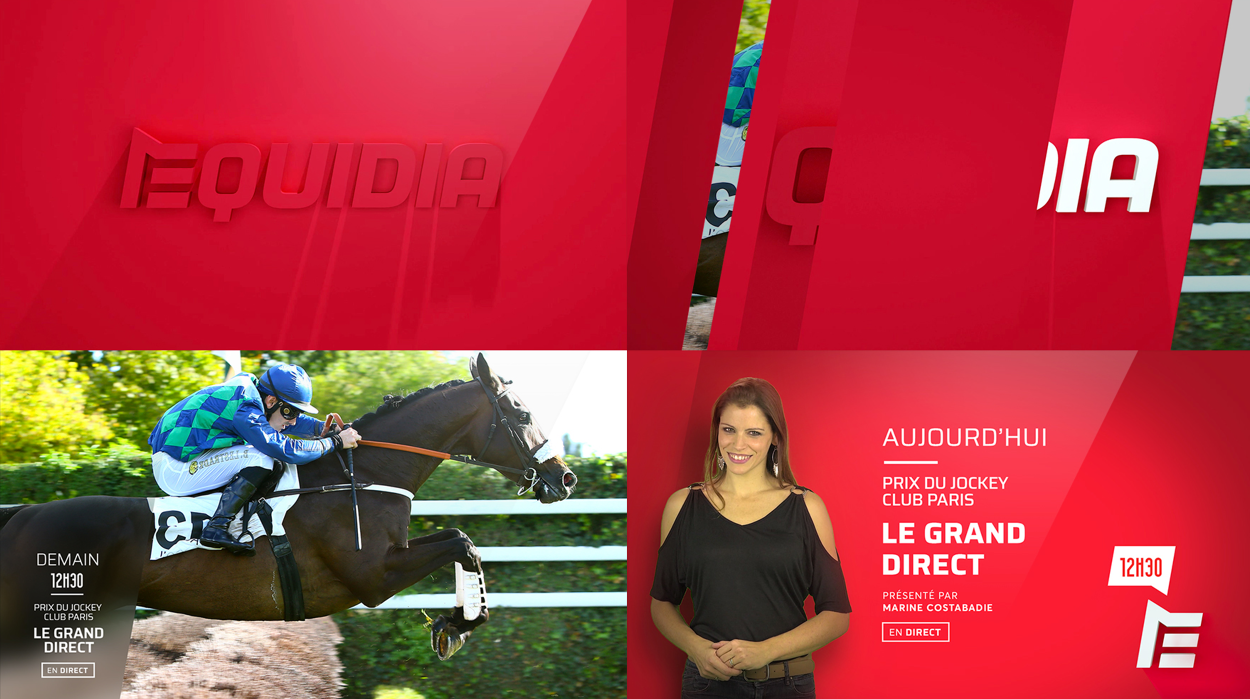 EQUIDIA - REBRANDING - CREATIVE DIRECTOR