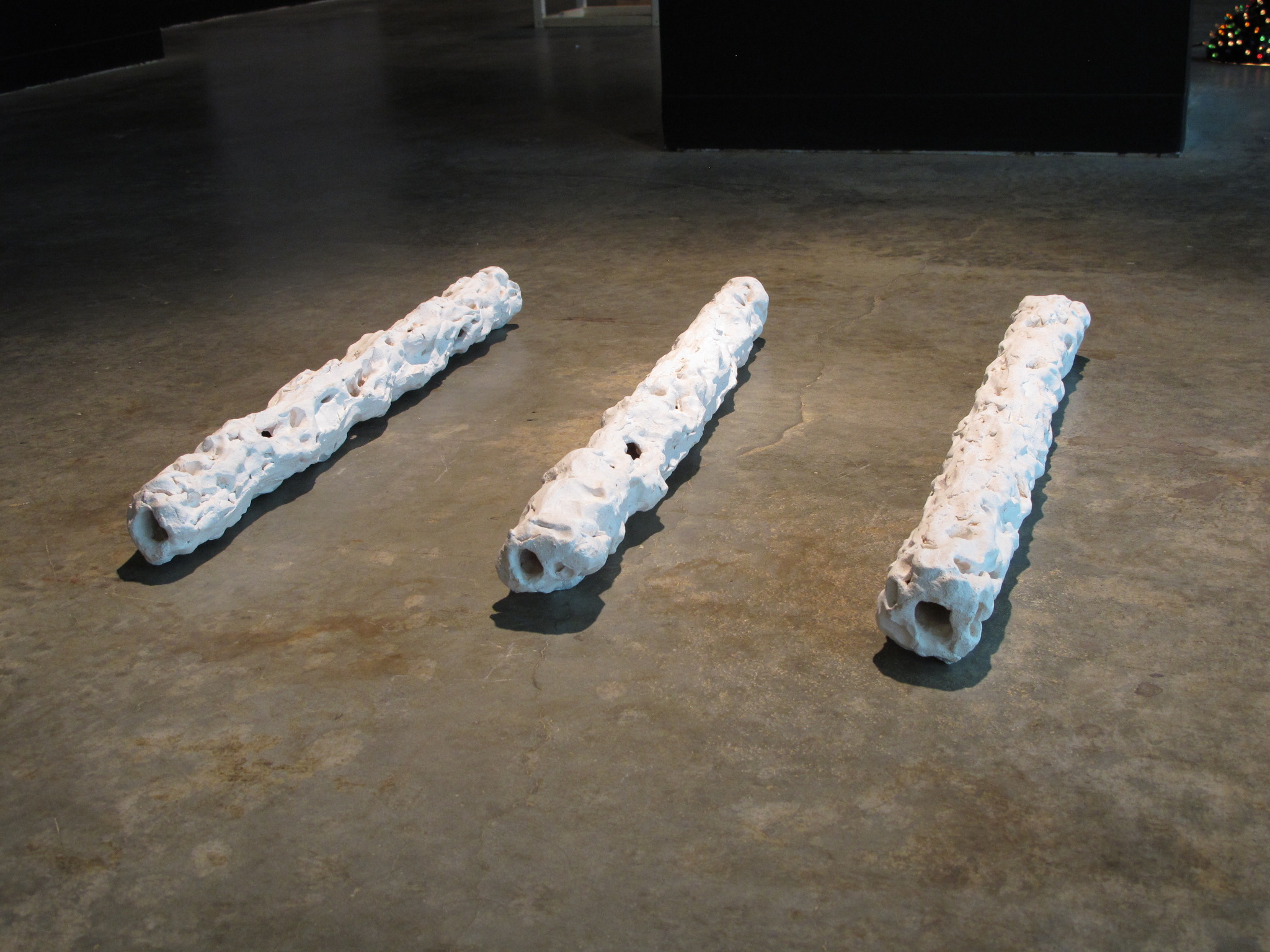Bones - Jason Lee Starin