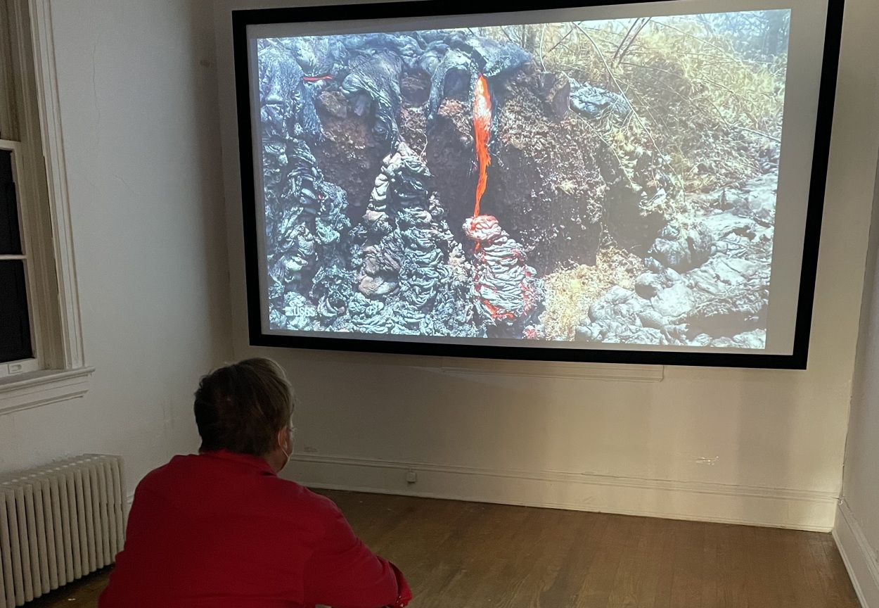 NY Virtual Volcano Observatory - Patrick Brooks