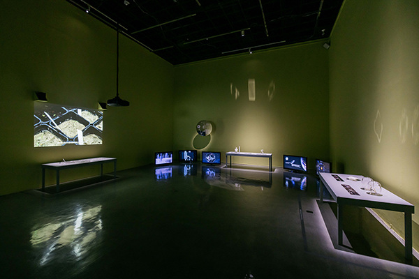 Provocative Futures: Speculation, human body, and medical science ...