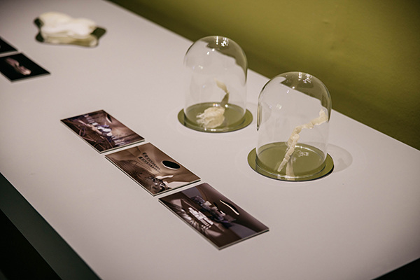 Provocative Futures: Speculation, human body, and medical science ...