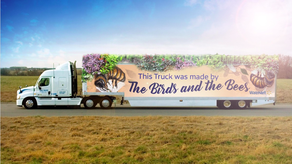 A World Without Pollinators - My Book