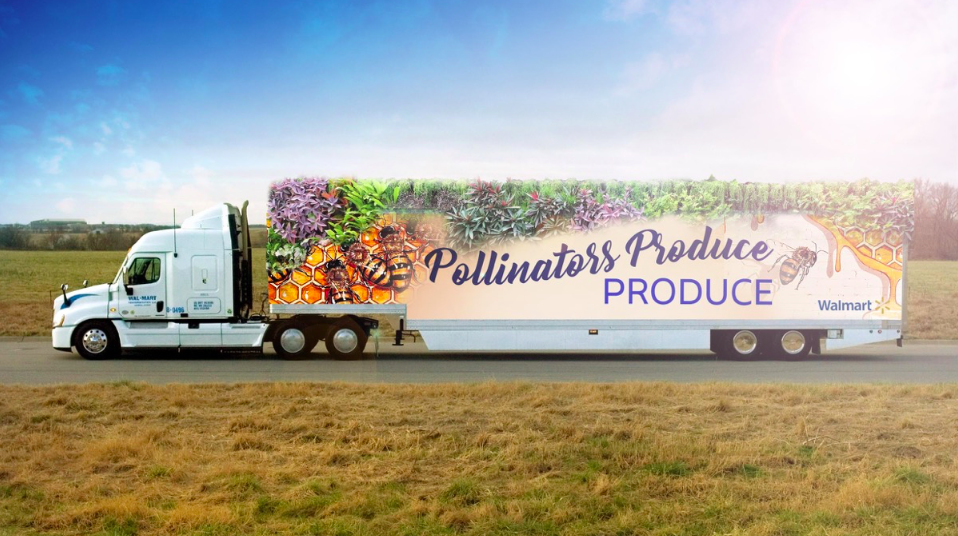 A World Without Pollinators - My Book