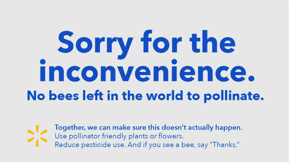 A World Without Pollinators - My Book