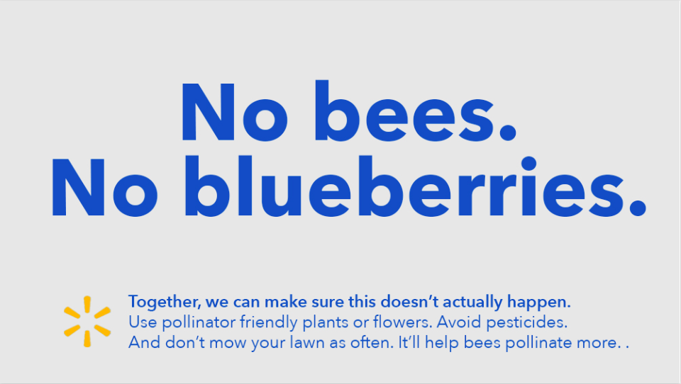 A World Without Pollinators - My Book