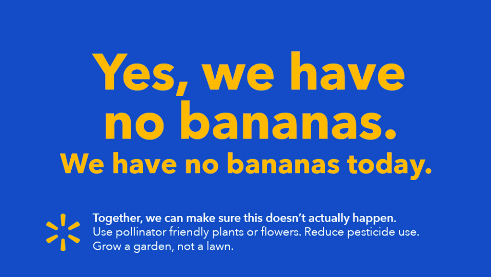 A World Without Pollinators - My Book