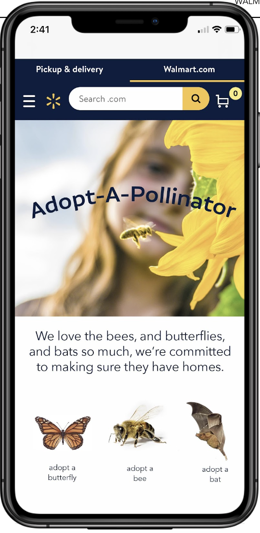A World Without Pollinators - My Book