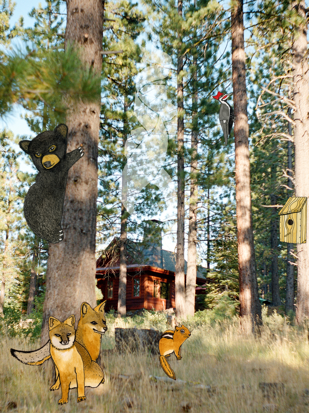 Kyle Pierce Illustration