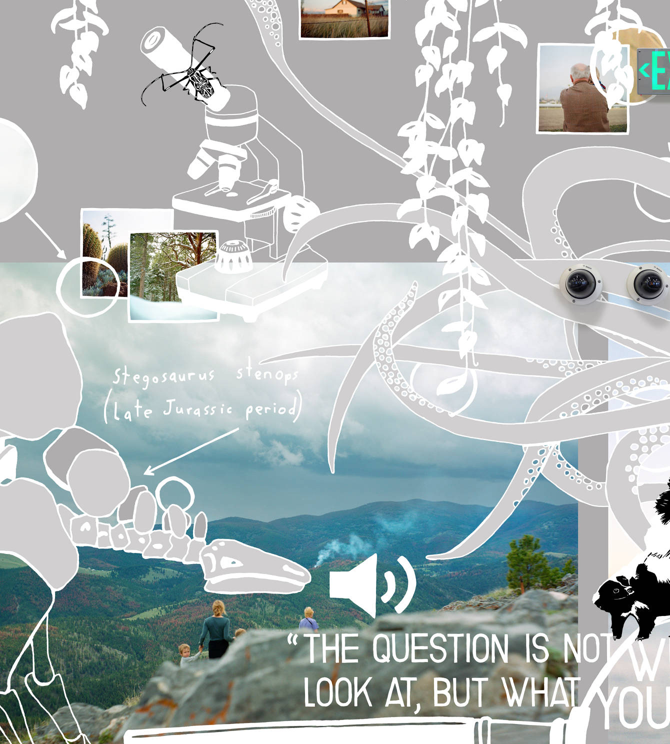 Kyle Pierce Illustration