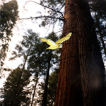 News - Kyle Pierce Illustration