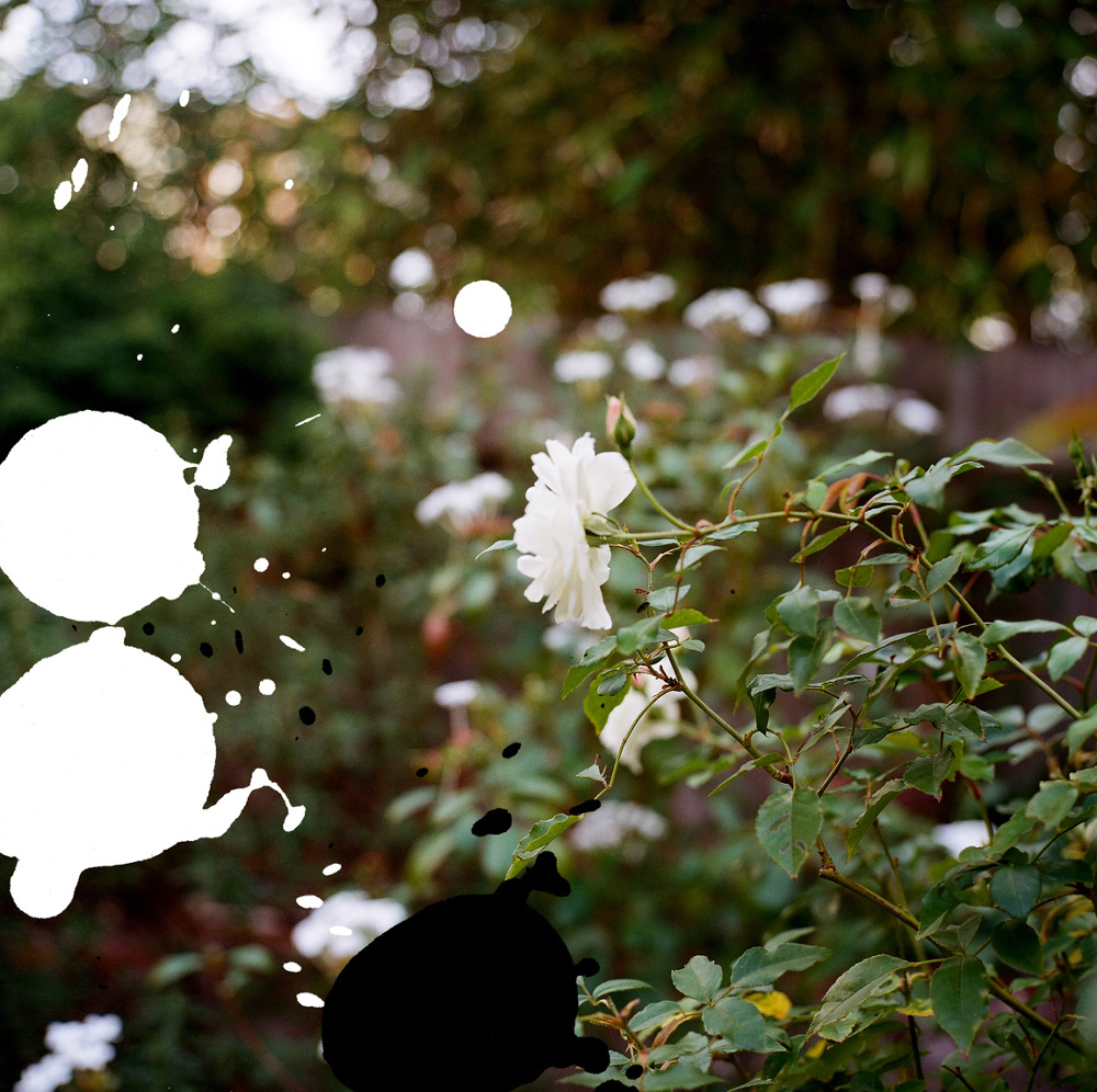 News - Kyle Pierce Illustration