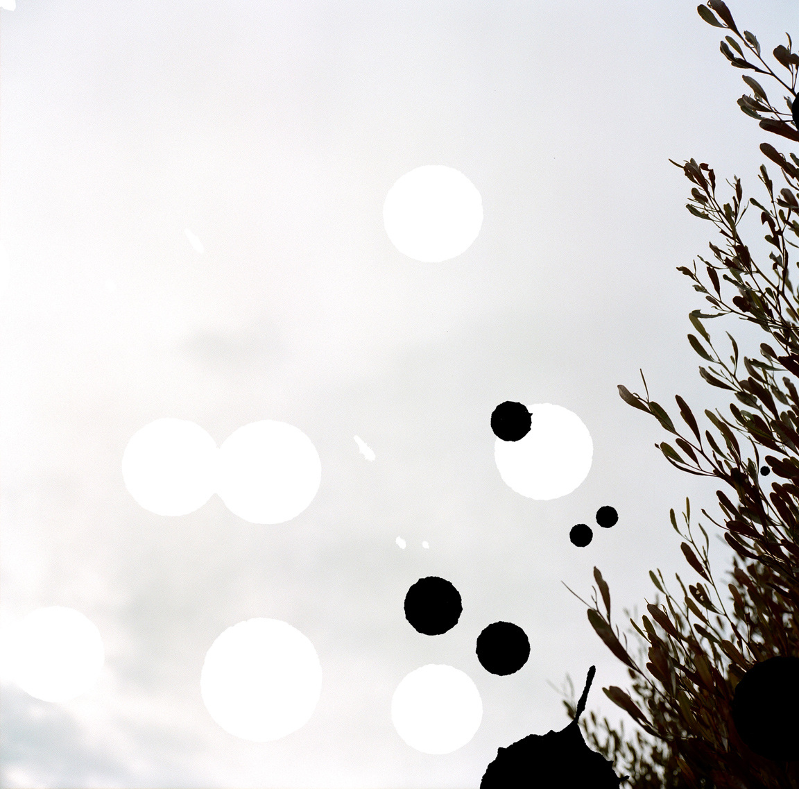 News - Kyle Pierce Illustration