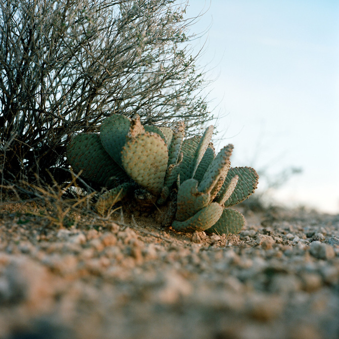 News - Kyle Pierce Illustration