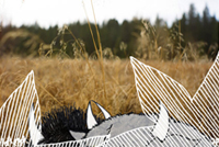 Kyle Pierce Illustration