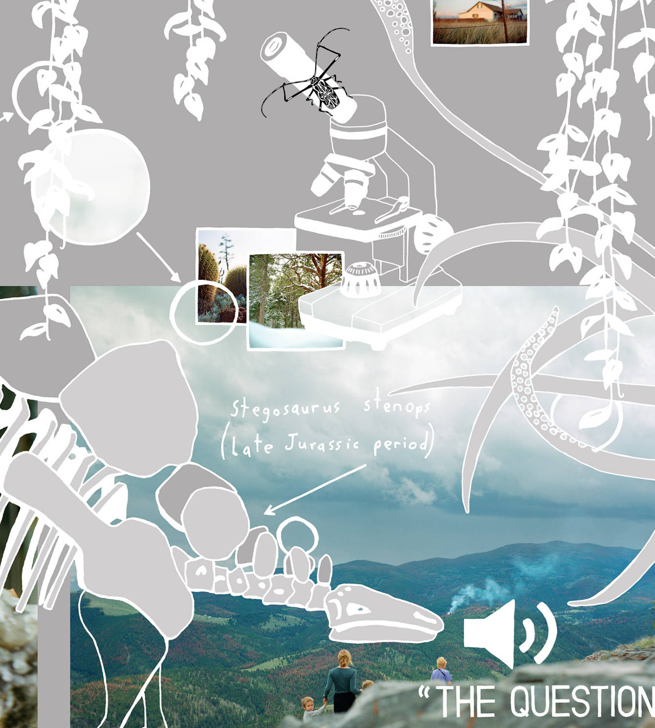 Smithsonian Mural - Kyle Pierce Illustration