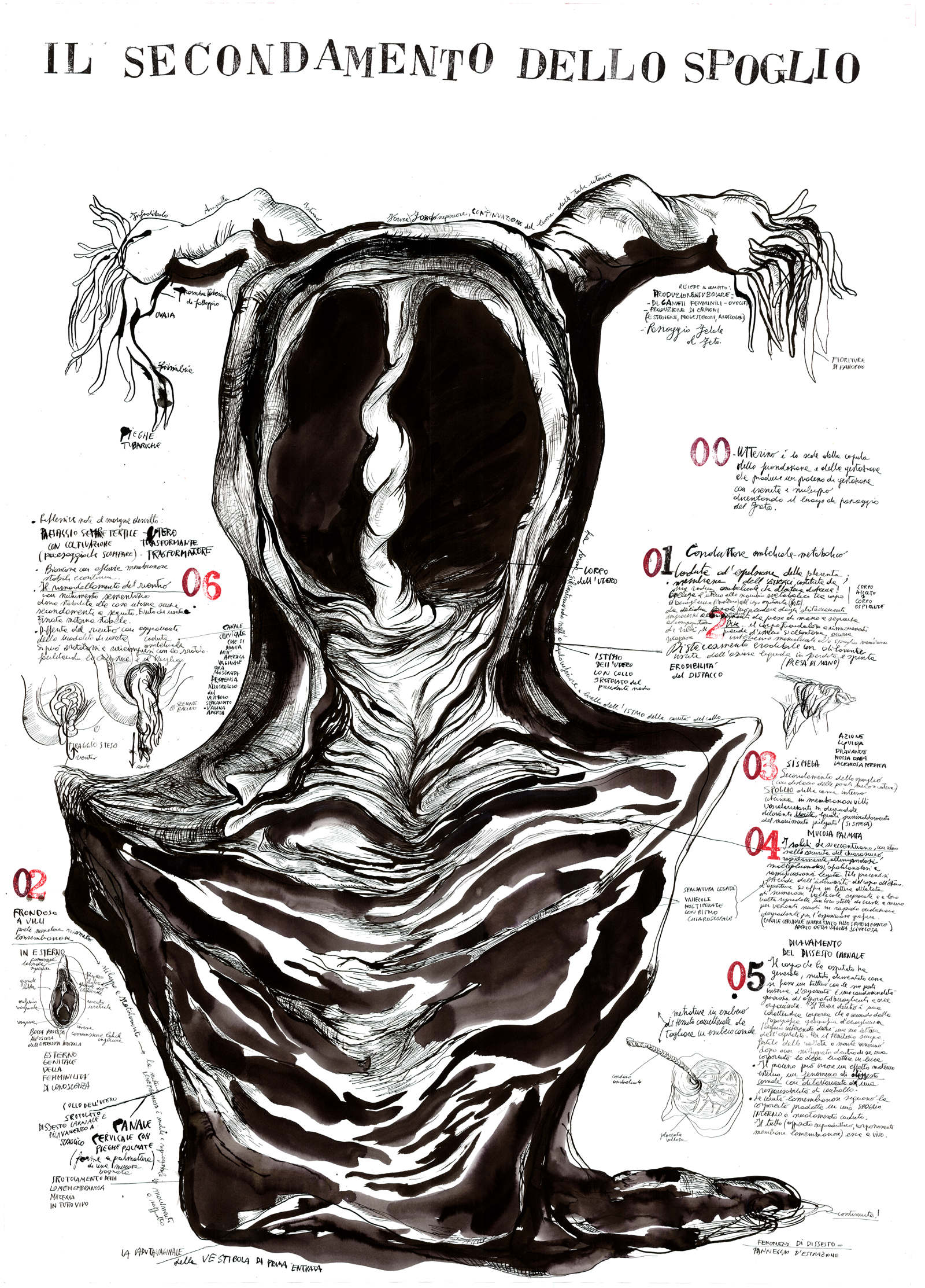Parallel anatomy - sissisissi
