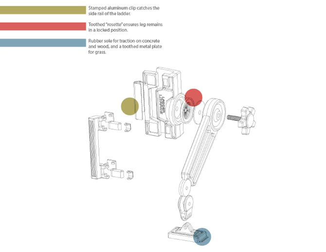 Ladder Lizards - Jacob Turetsky