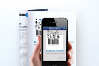 The Portfolio of Darren Halbig