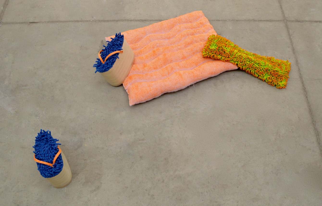 Swim Meet - Alexis Daley