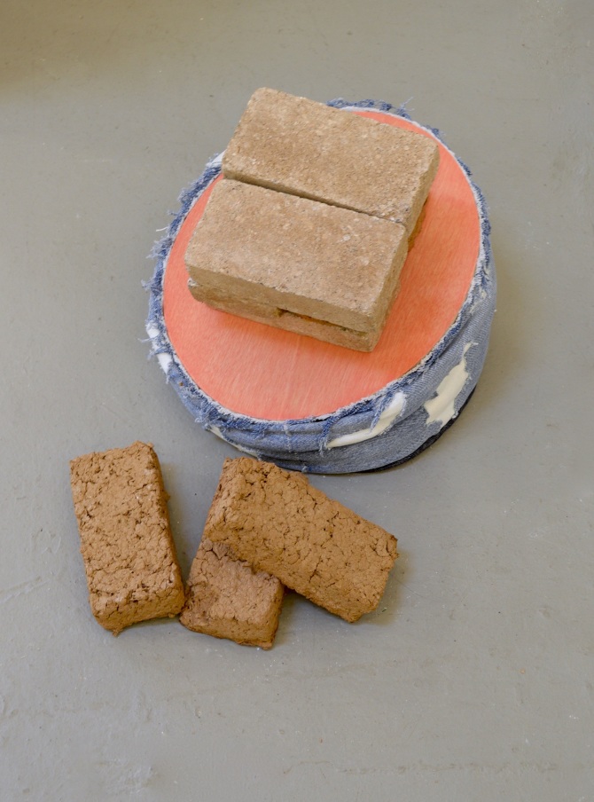 Practical - Alexis Daley