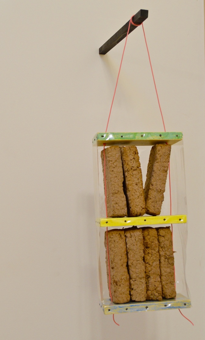 Practical - Alexis Daley