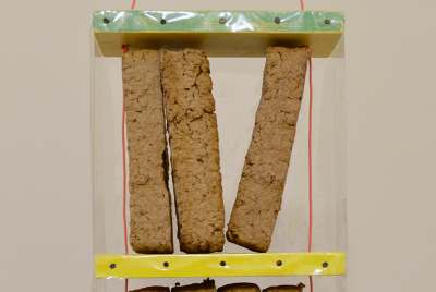 Practical - Alexis Daley