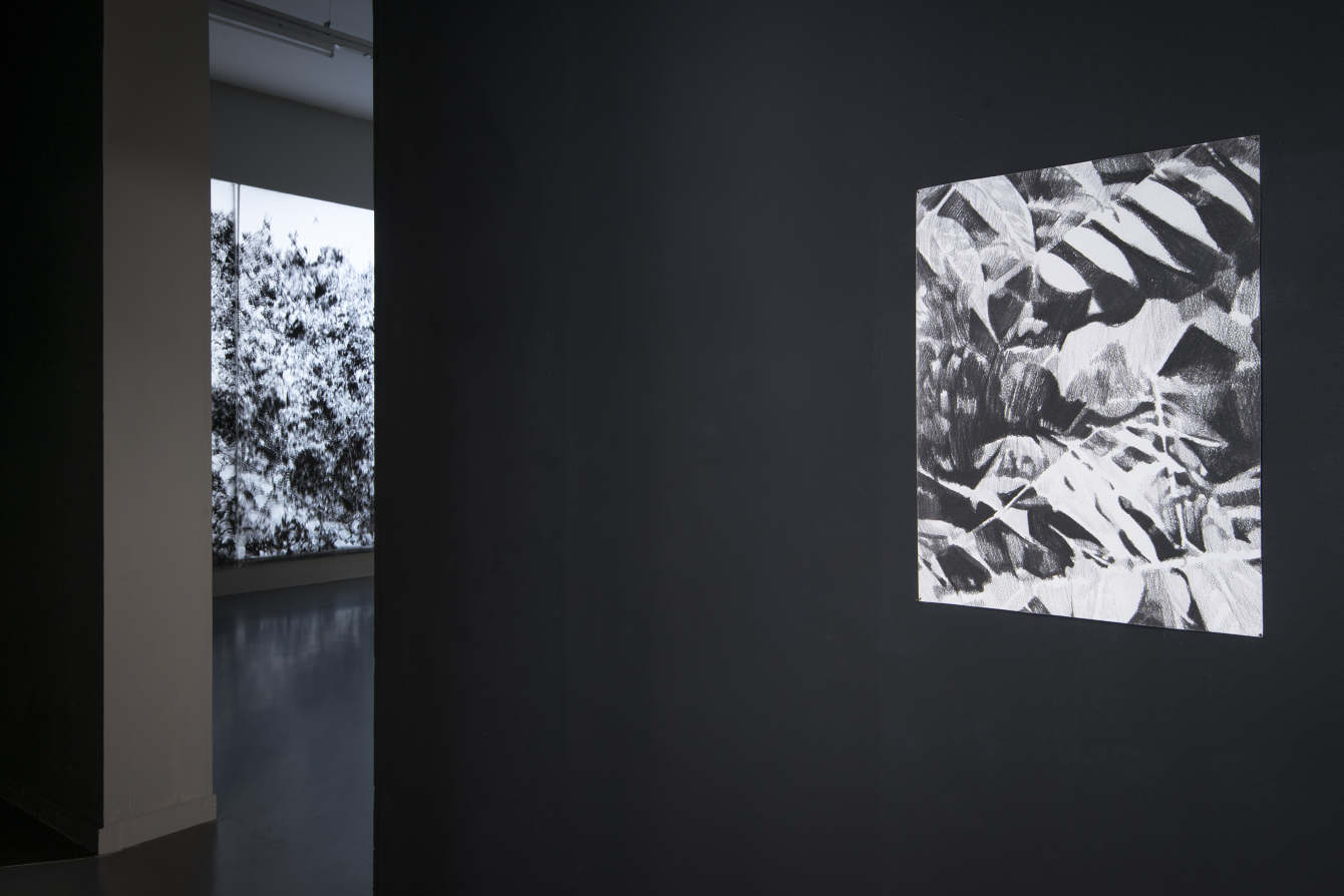 Navigating the Imaginary - Anouk Griffioen