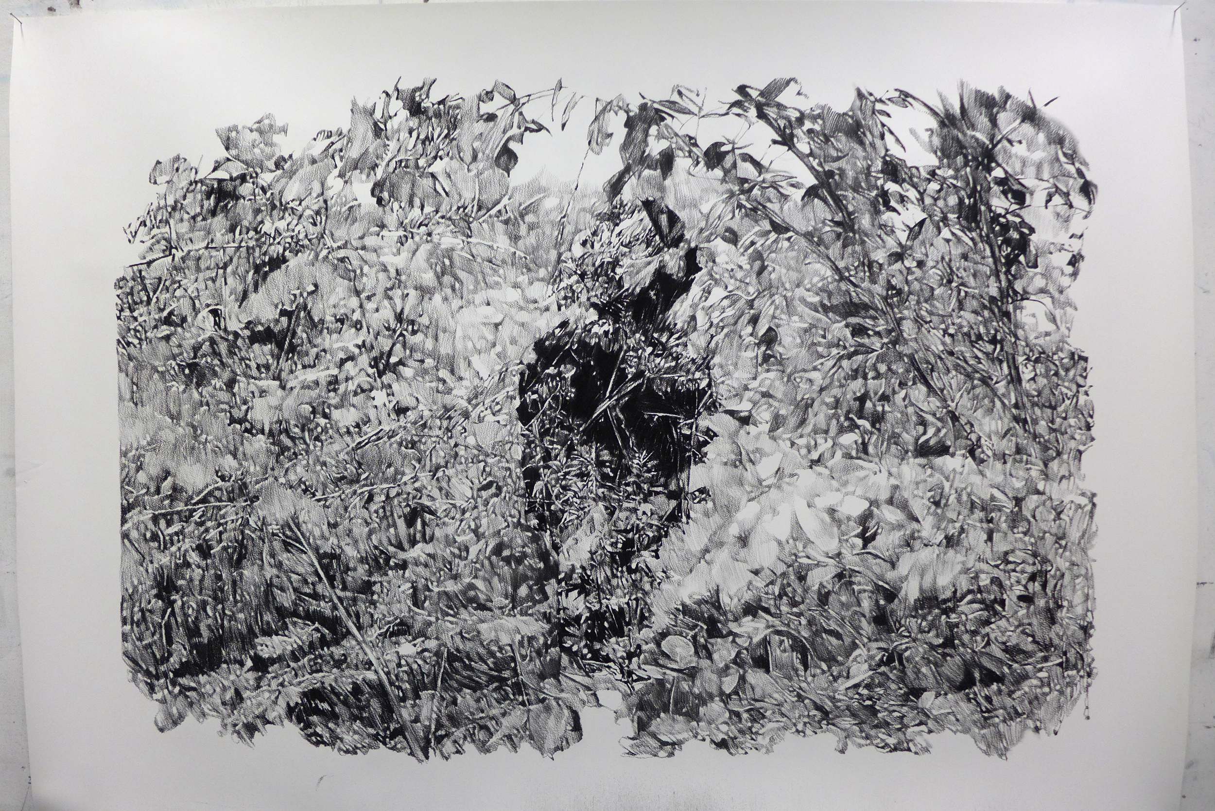 Wanderland - Anouk Griffioen