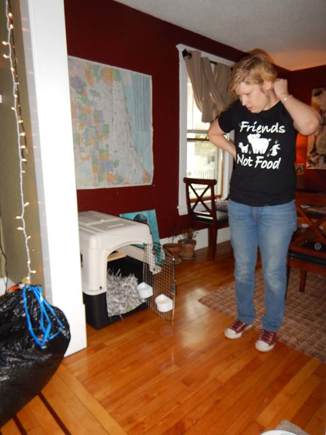 Become a Chicken Foster! - CRR