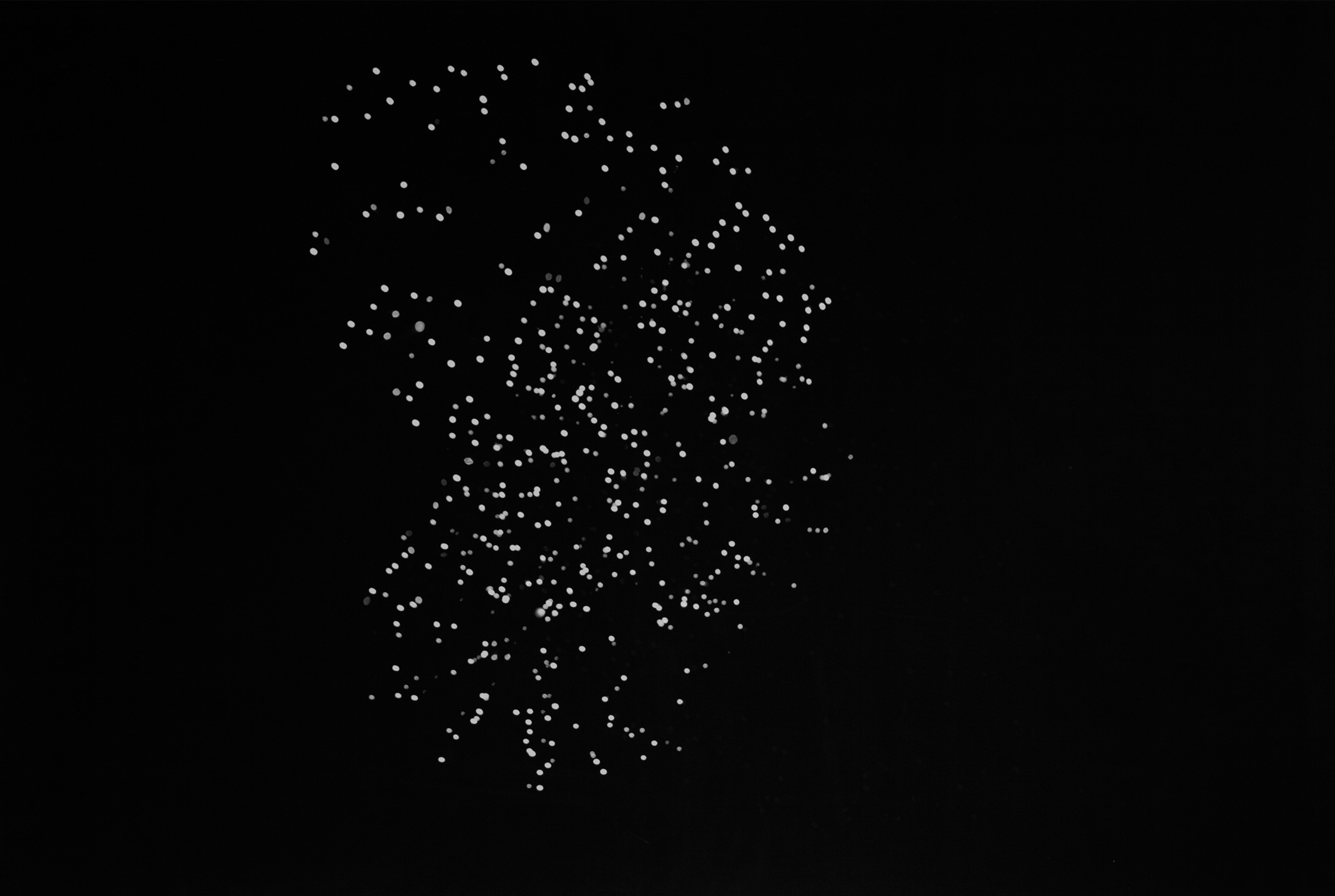 Las Imágenes Negras - Iliana Ortega